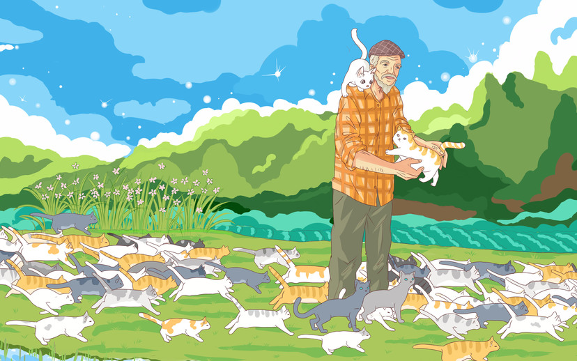 Story | One Million Cats | Du Chinese