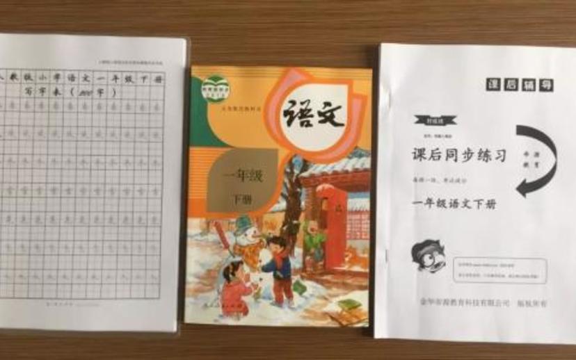 Chinese Class for Chinese Students | Du Chinese