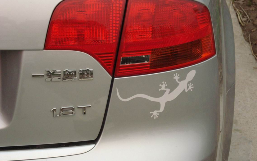 Gecko Car Stickers | Du Chinese