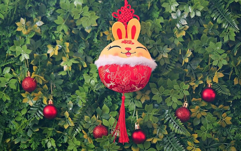 Lord Rabbit | Du Chinese